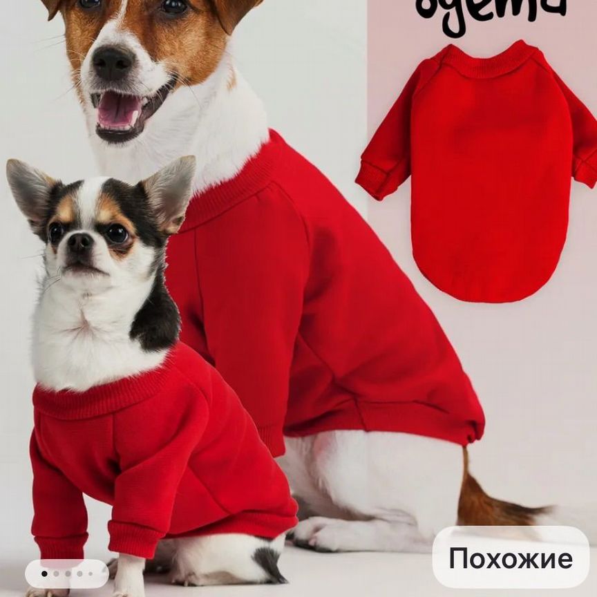 Свитер для маленьких собак/кошек