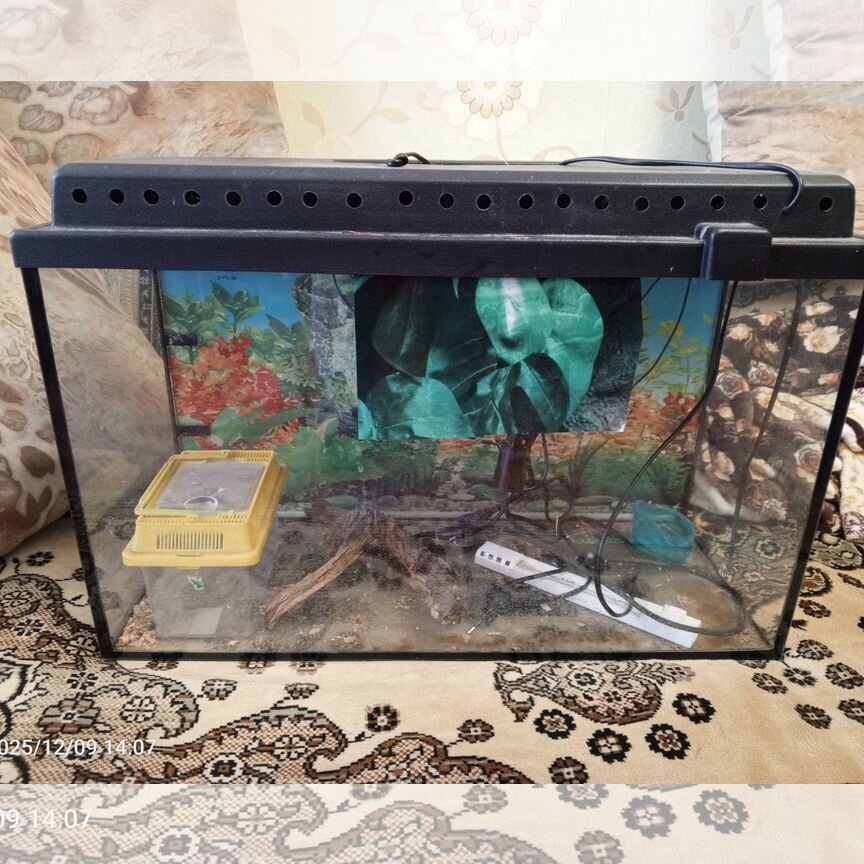 Террариум для рептилий