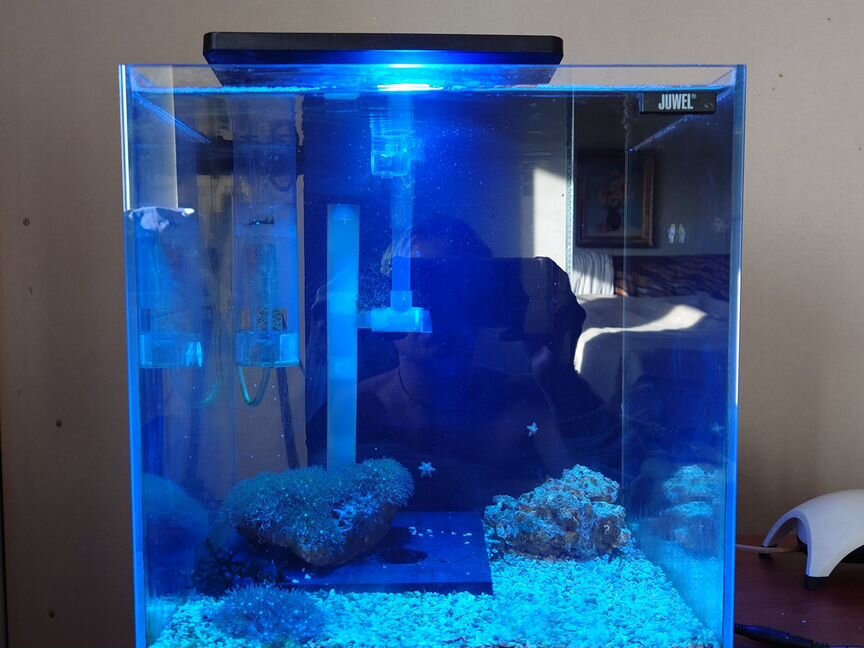 Морской аквариум Juwel Prime 32