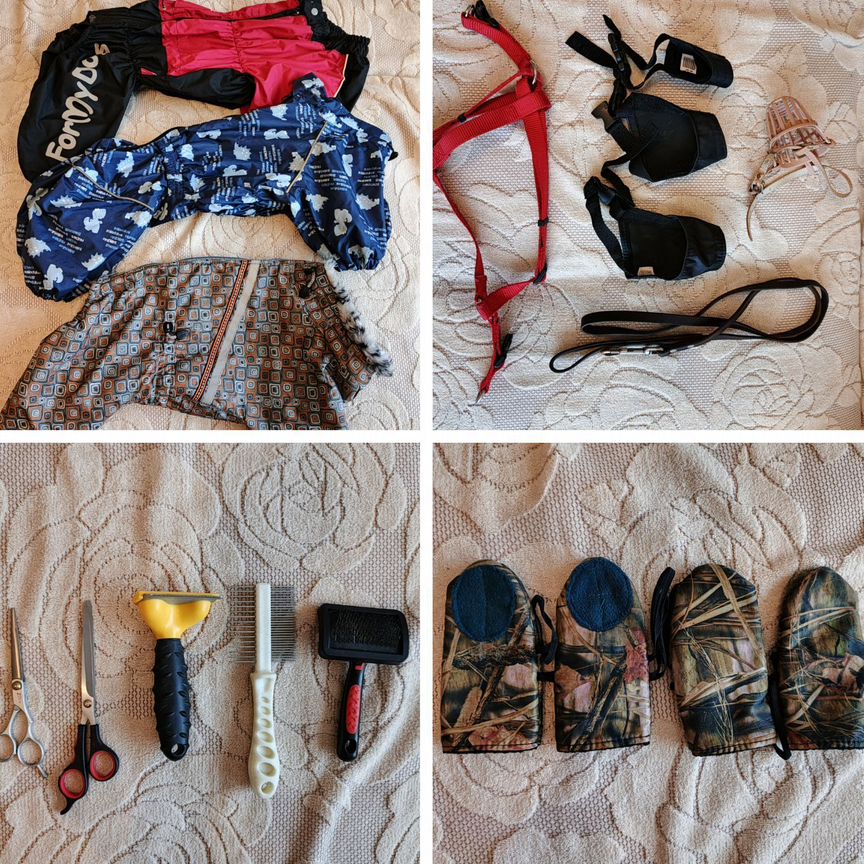 Комбинезон для собаки такса, спаниель