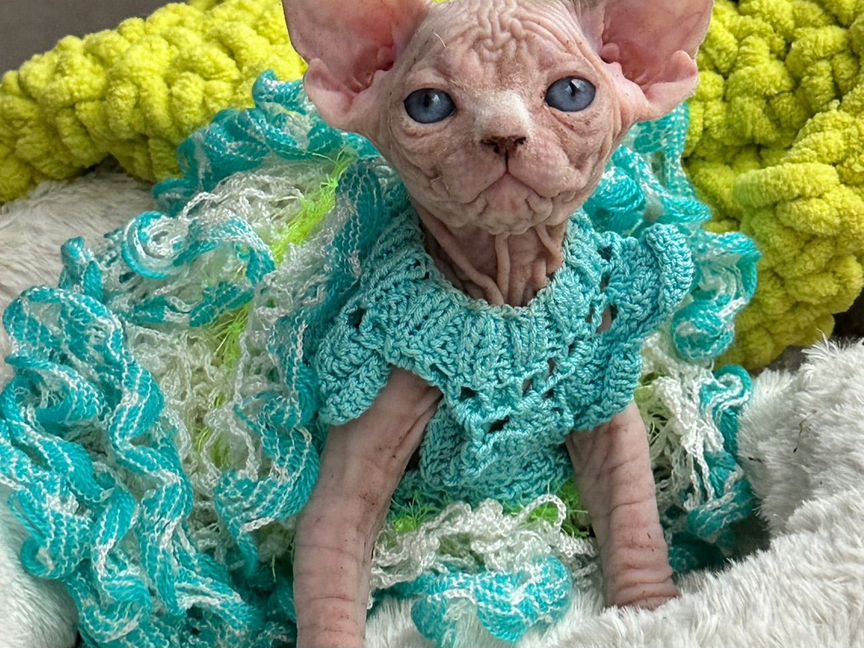 Мишка малышка