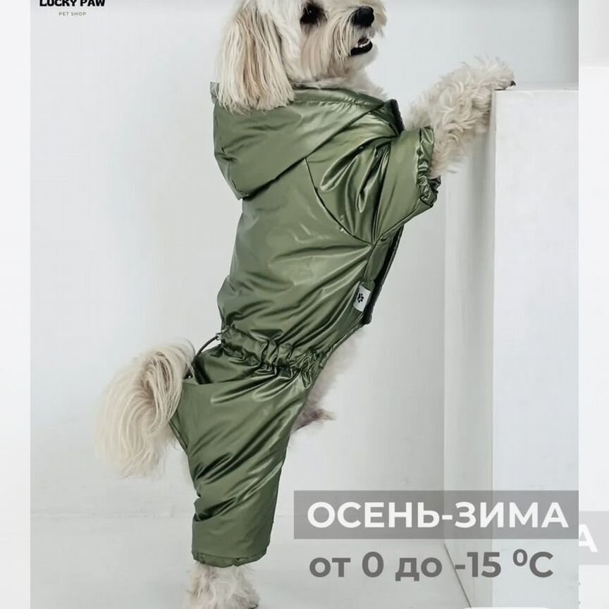 Одежда для собак