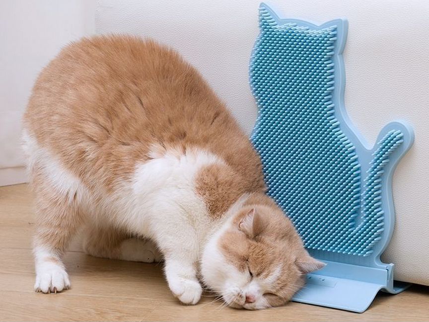 Массажная расческа для кошки
