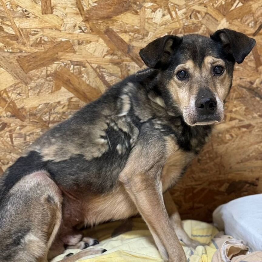 Старичок Ганс уже не надеется на чудо