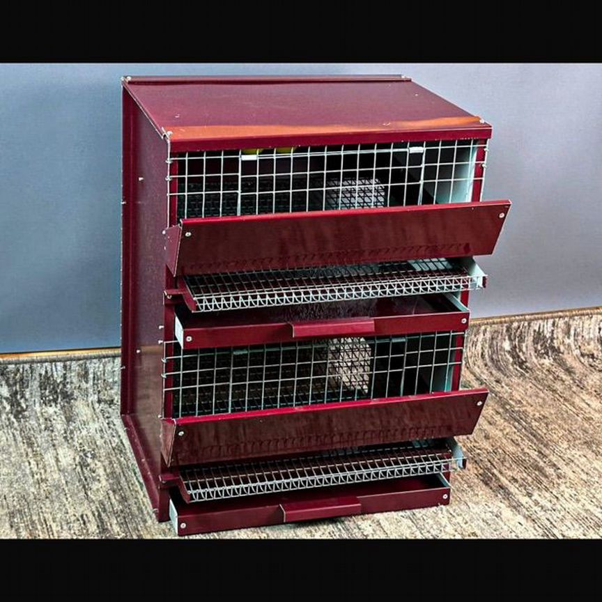 Клетка для перепелов
