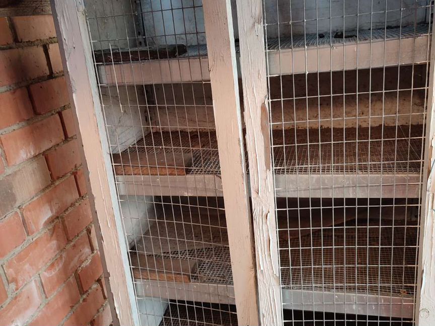 Клетки для кроликов бу