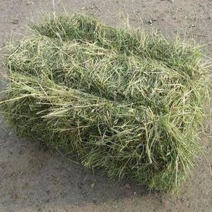 Сено люцерны в тюках