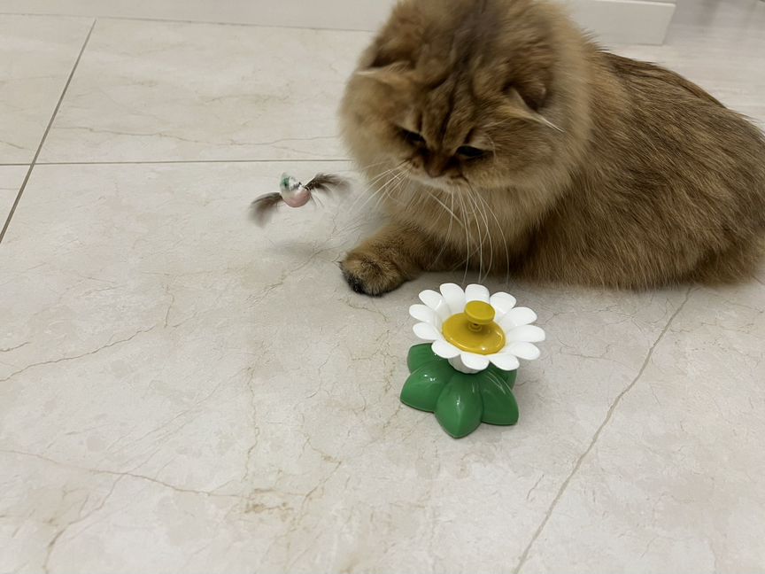 Вращающаяся игрушка для кошек