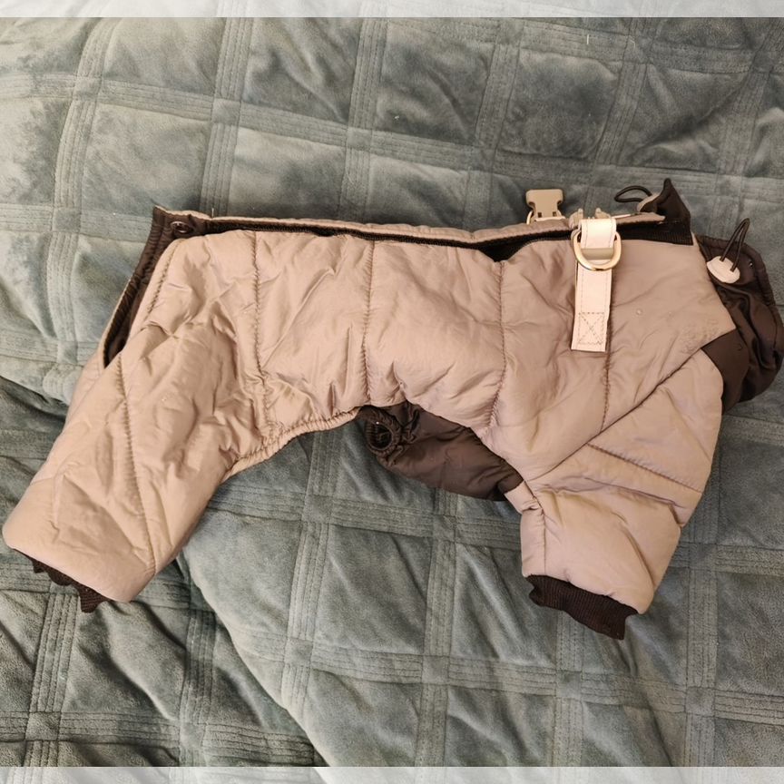 Зимняя одежда для собак мелких пород