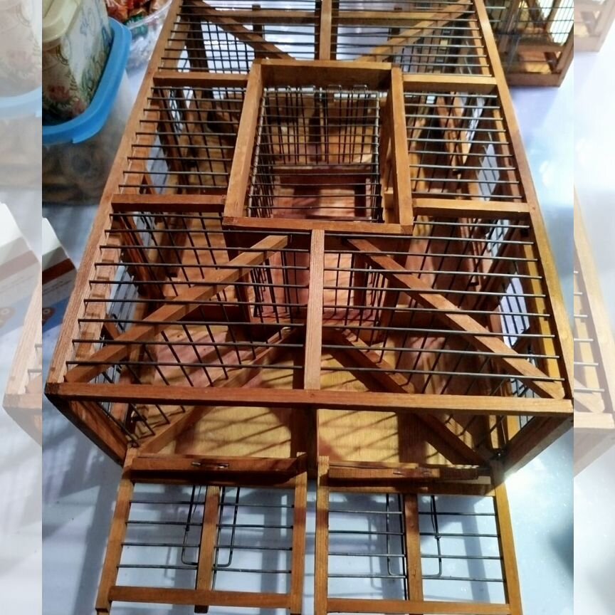 Западок для птиц