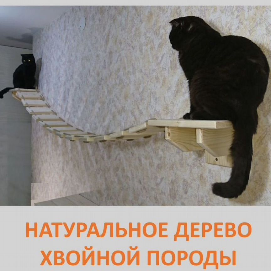 Настенный игровой комплекс для кошек