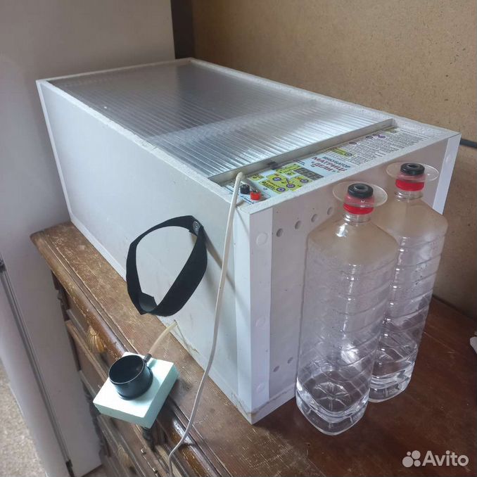 Инкубатор. Матрица. Дели