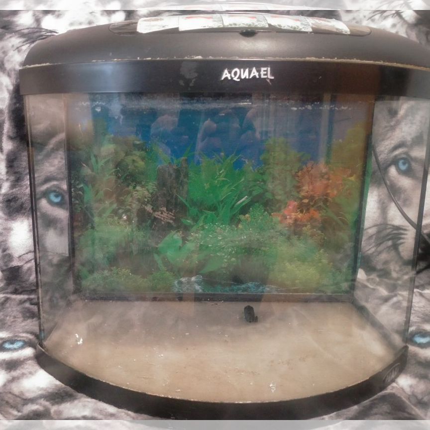 Аквариум панорамный 30л aquael