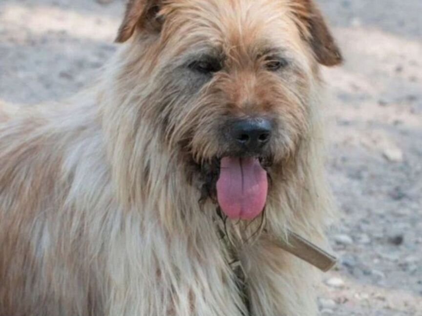 Царственный Кокос ждёт свою семью