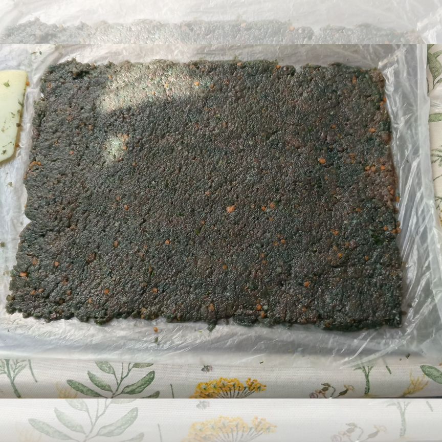 Корм для дискусов и скалярий