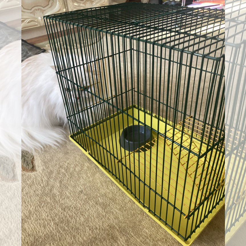 Клетка для грызунов