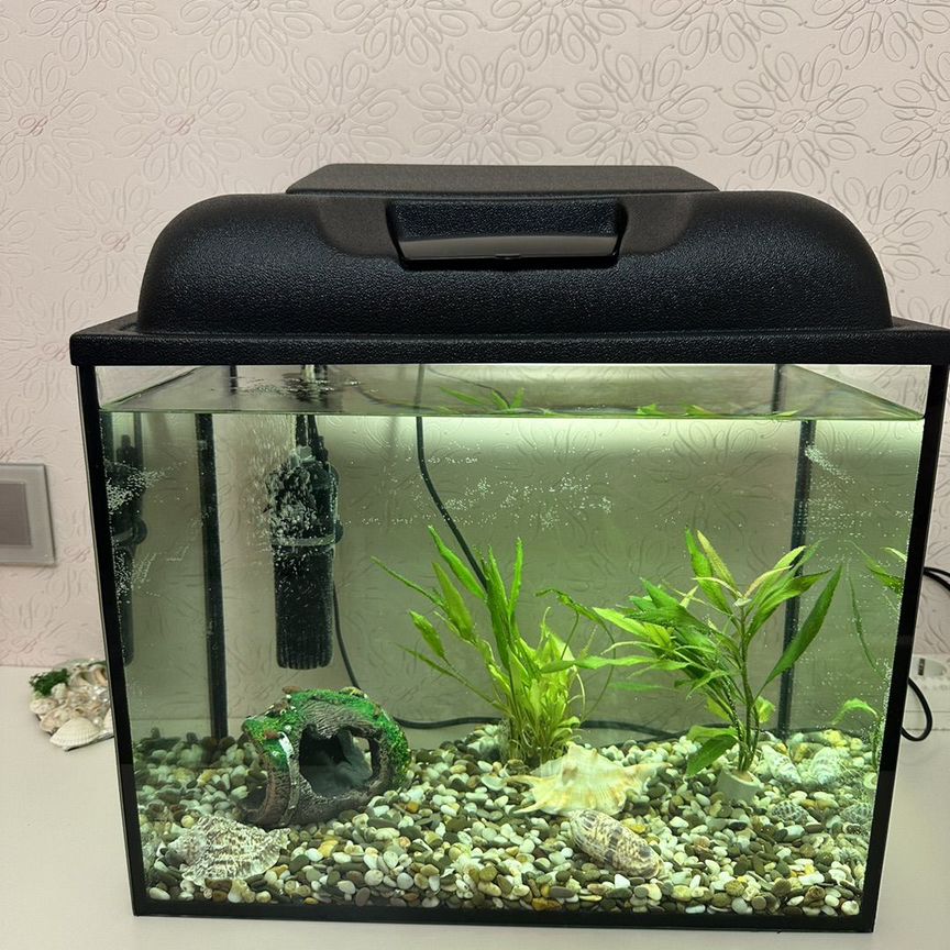 Аквариум для рыбок