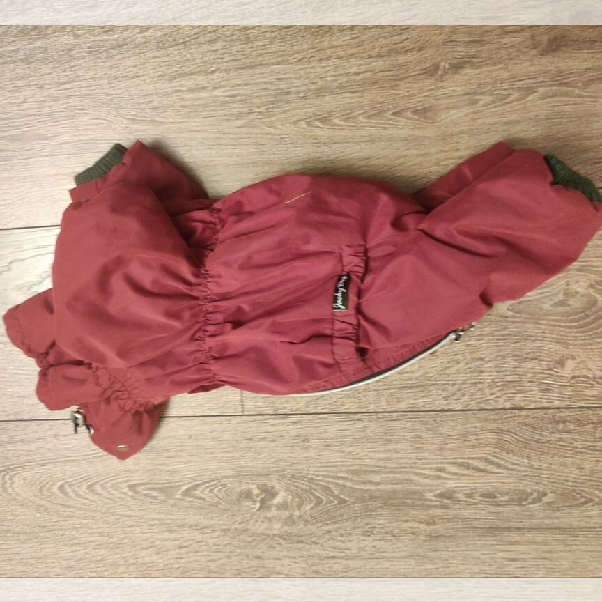 Одежда для собак