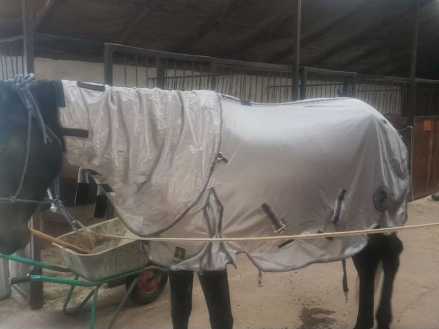 Антимоскитная попона