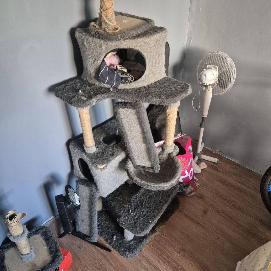 Кошачий комплекс, бу