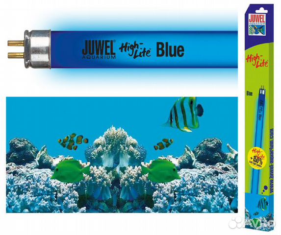 Лампы Juwel Blue, T5, люминесцентные купить в Москве | Животные и ...