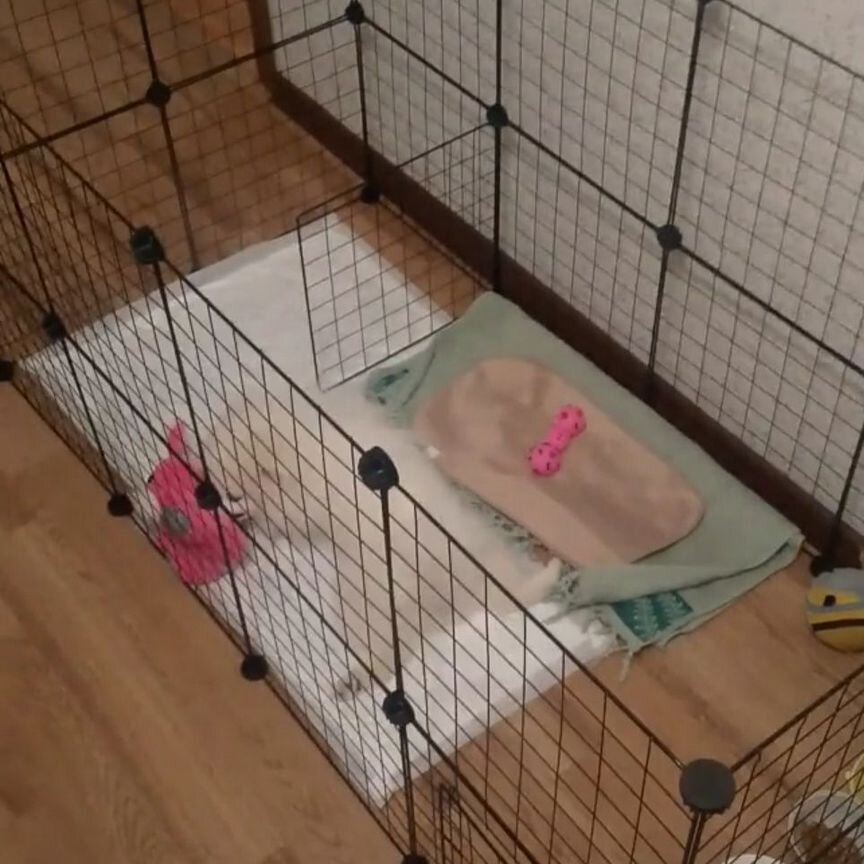 Вольер для собак в квартиру бу