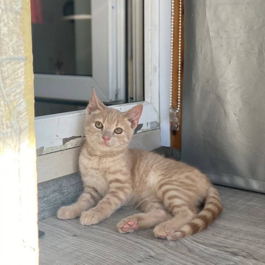 Не мечтает