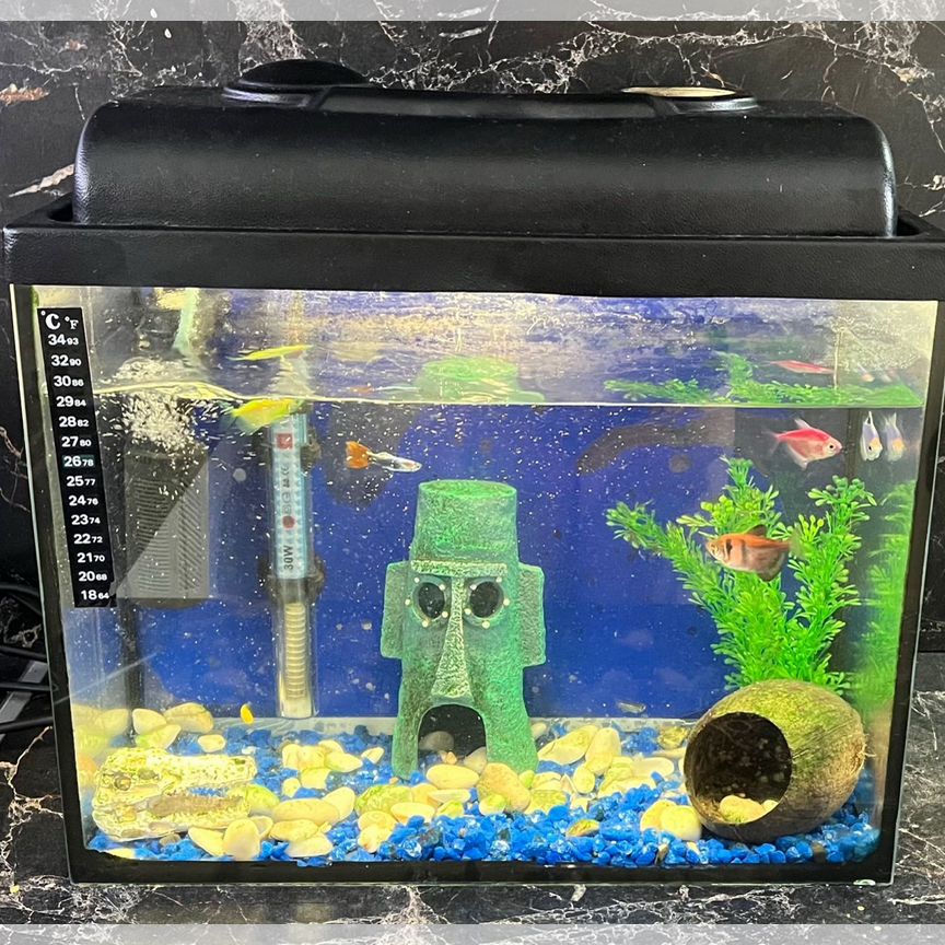 Аквариум с рыбками