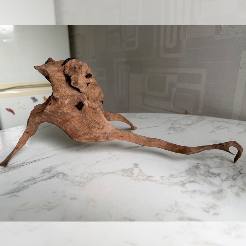 Коряга в аквариум натуральная