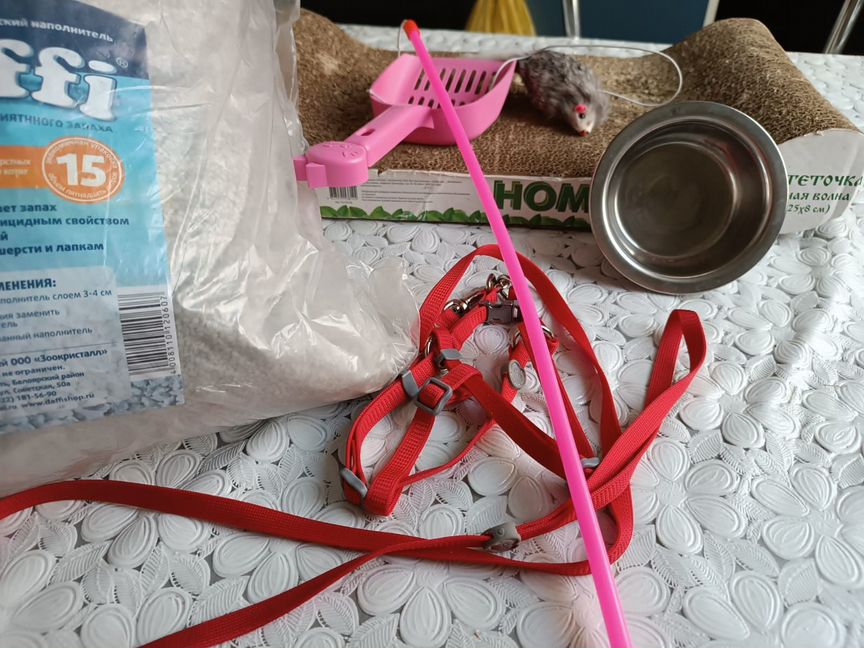 Вещи для кошки - шлейка, миски, наполнитель и др