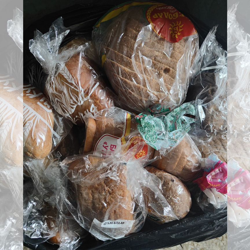 Корма для животных