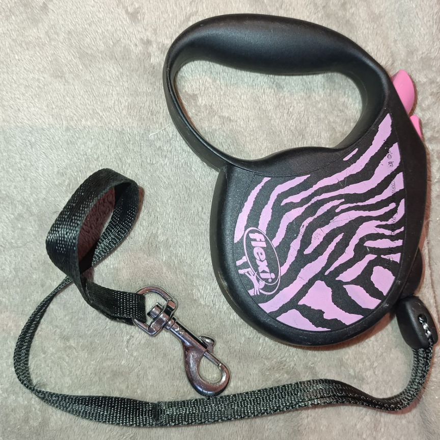 Амуниция для собак