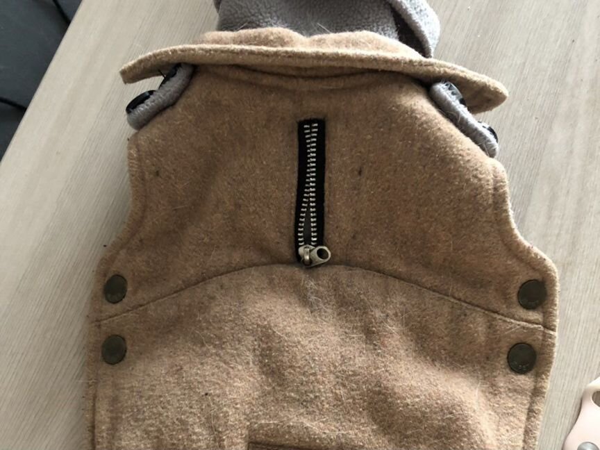 Одежда для собак