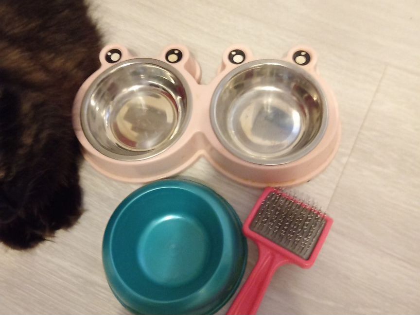 Кошачьи миски