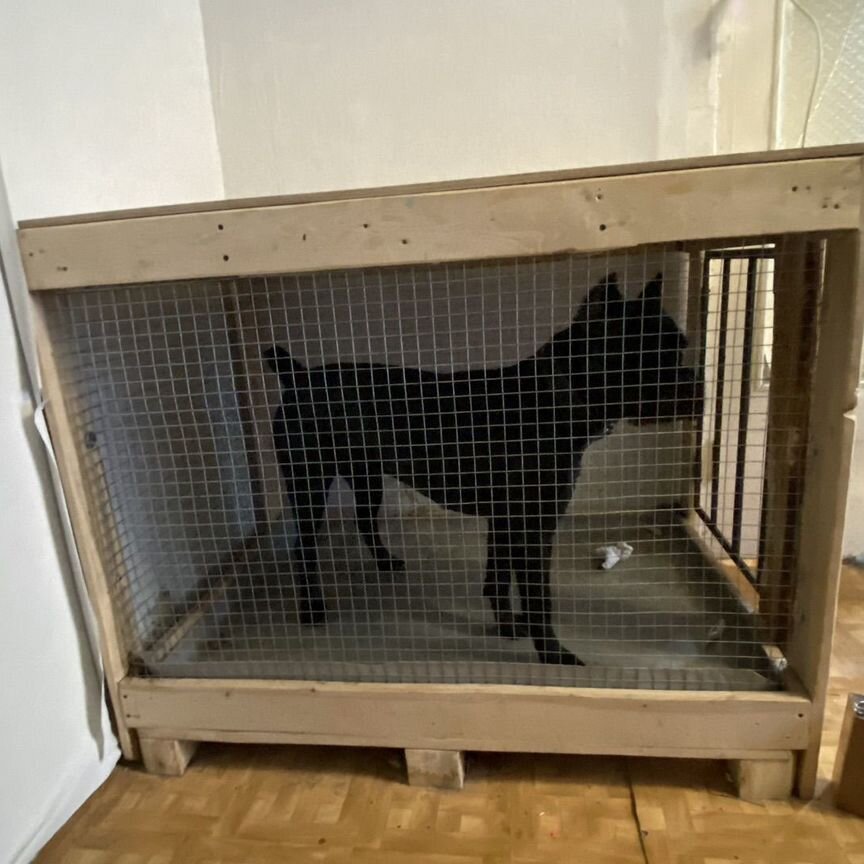 Вольер деревяный самодельный