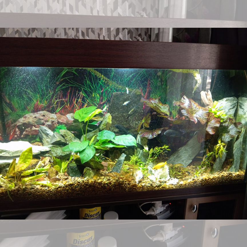 Аквариум juwel 200 литров