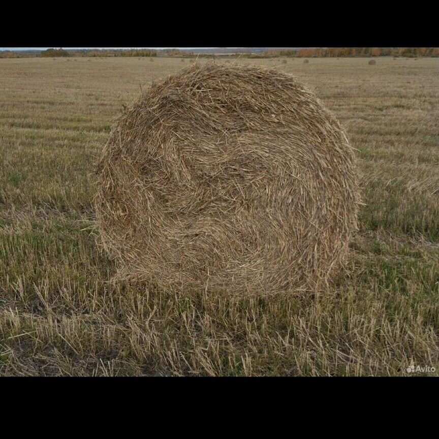 Солома в рулонах