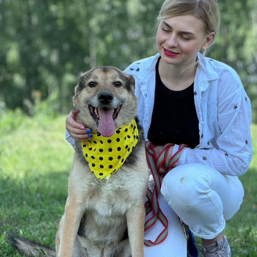 Песик Яшка живет в приюте