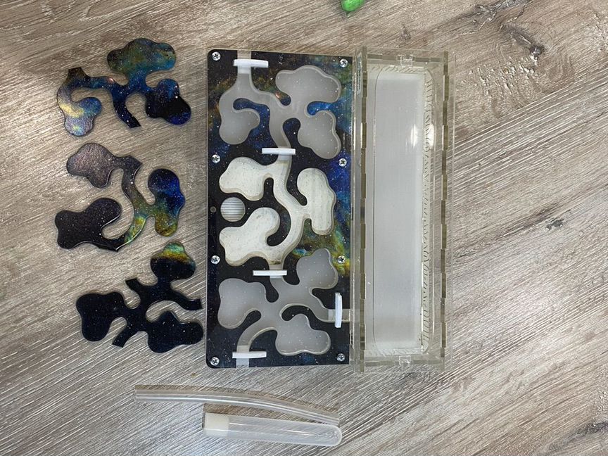 Муравьиная ферма