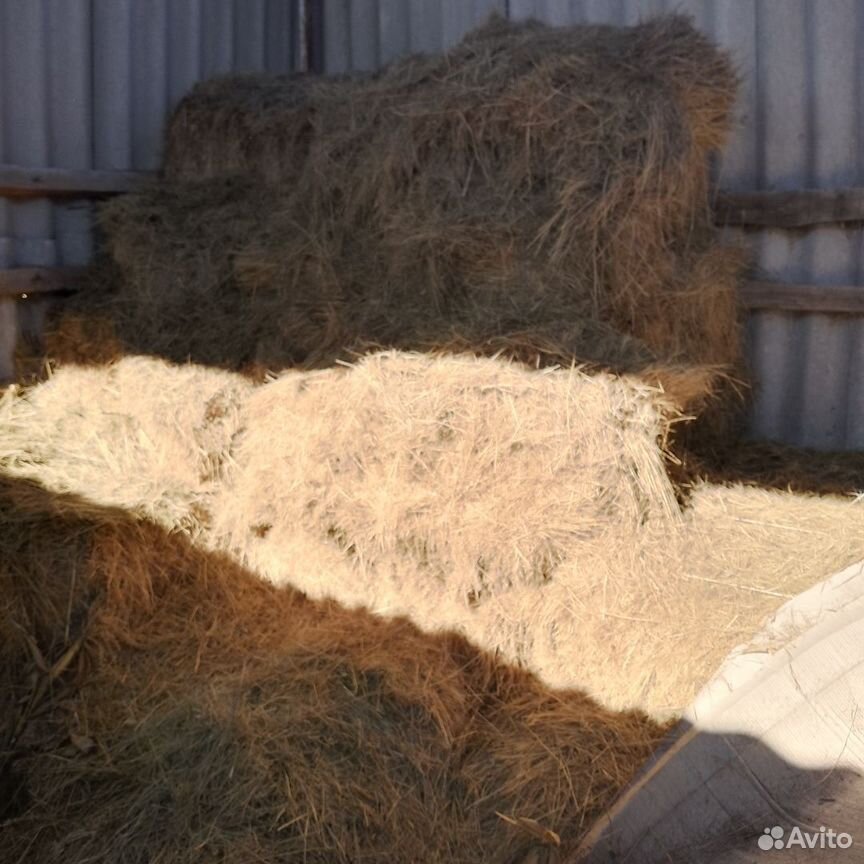 Сено в кипах