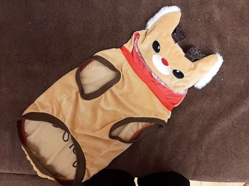 Комбинезон для щенка или маленькой собаки