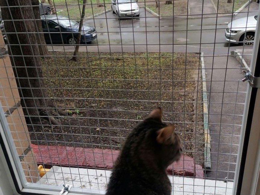 Сетка, решетка, балкон антикот