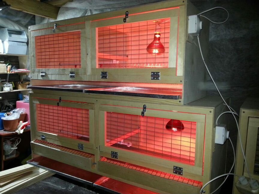 Робот - брудер для цыплят