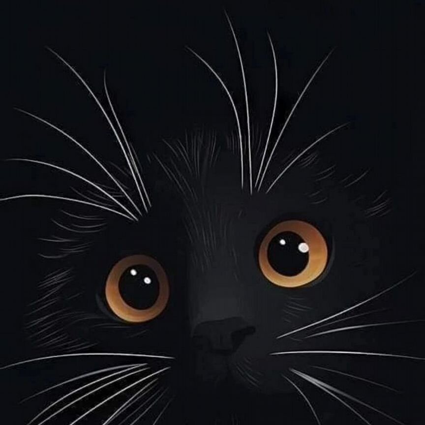 Банда котят ищет дом