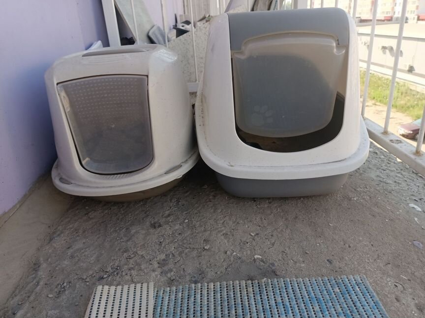 Кошачий лоток