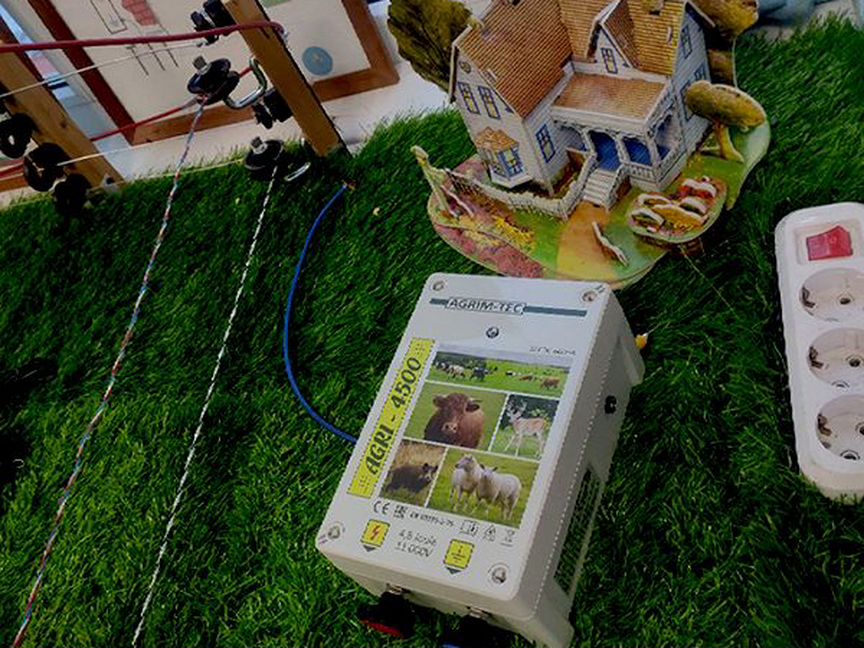 Электропастухи