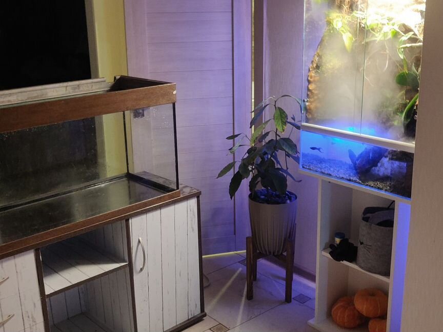 Аквариум 180 л. без тумбы