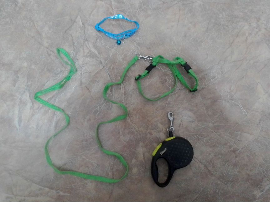 Аксессуары для вашего питомца