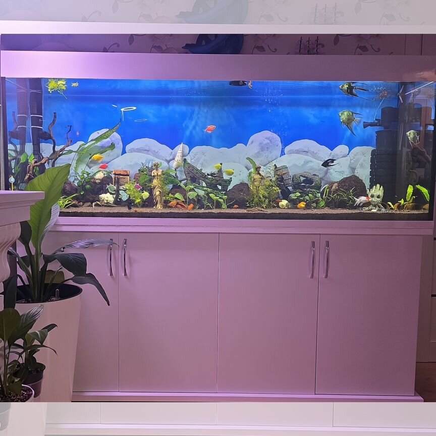 Аквариум с тумбой 650 литров