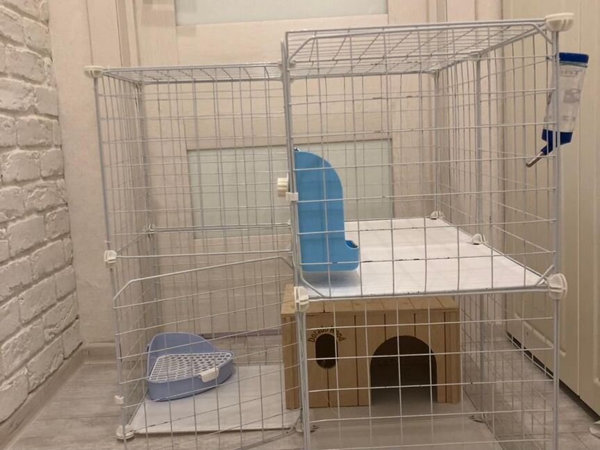 Клетка